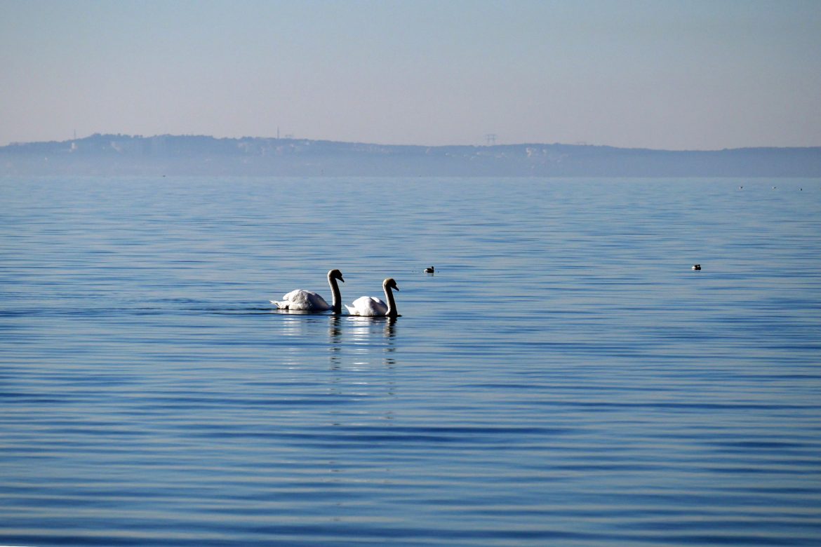 Découvrir en photos la plage des Marettes en hiver près de Marseille ...